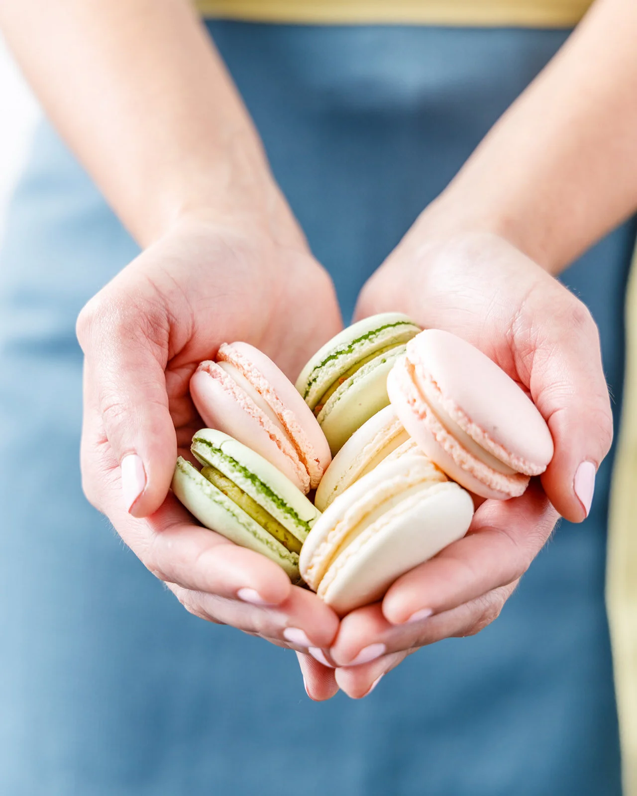 Lens Craving Photography - Photography Miami, FL