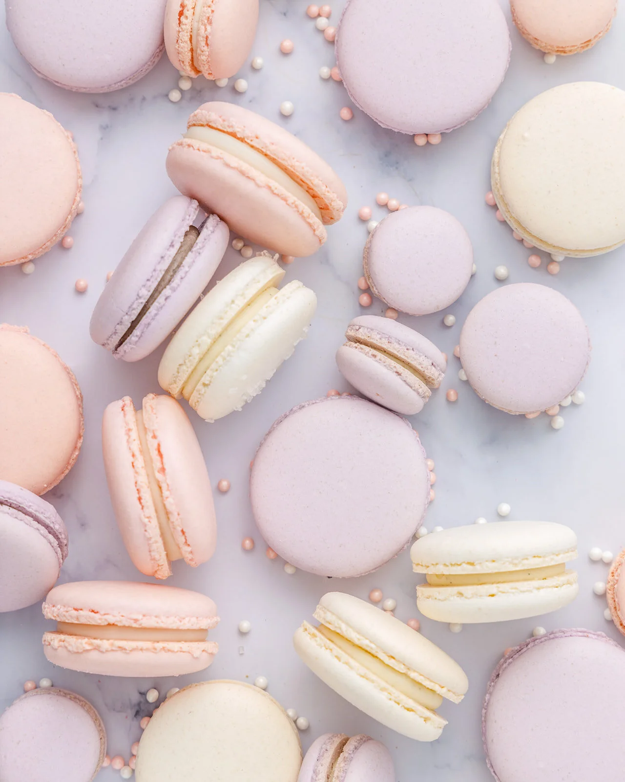 Lens Craving Photography - Photography Miami, FL