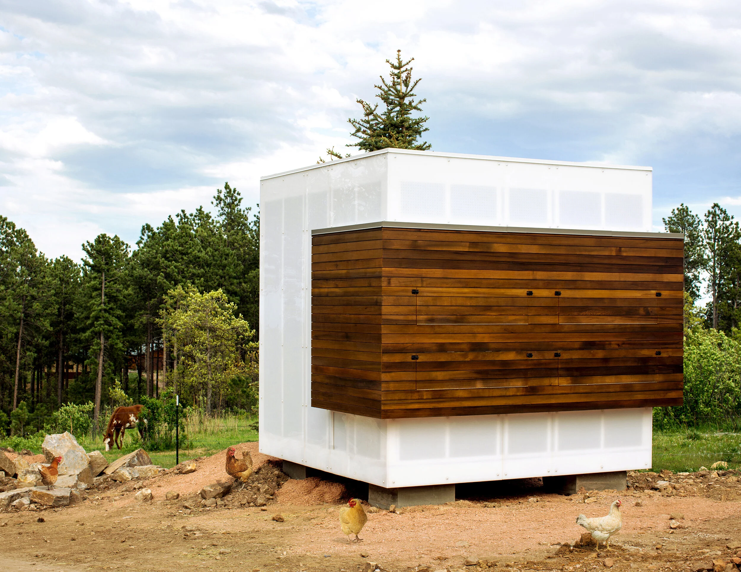 Modern Chicken Coop by Tomecek Studio Architecture - Unique Designer ...