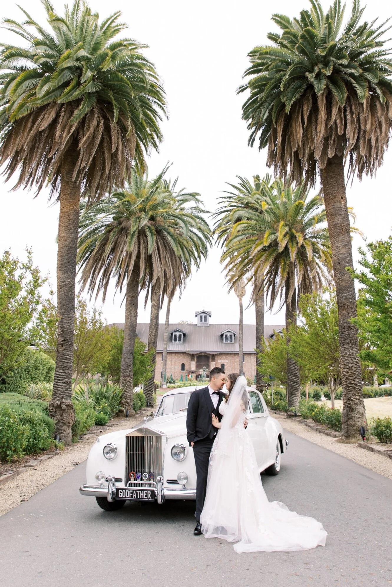 SharpShooter Photography Northern California Photographer sharpshooter-photography-northern-california-photographer