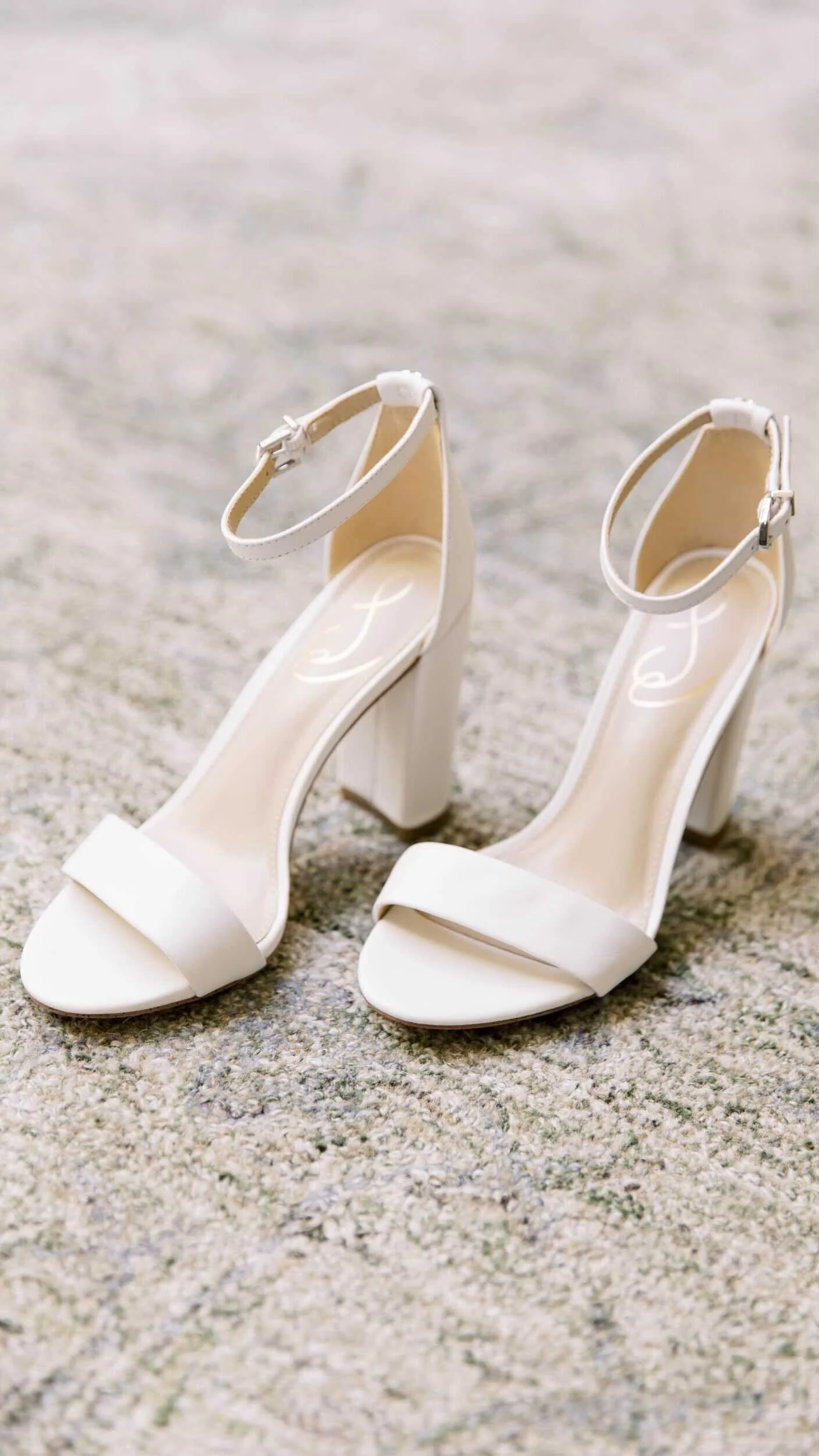 SharpShooter Photography | Northern California Photographer