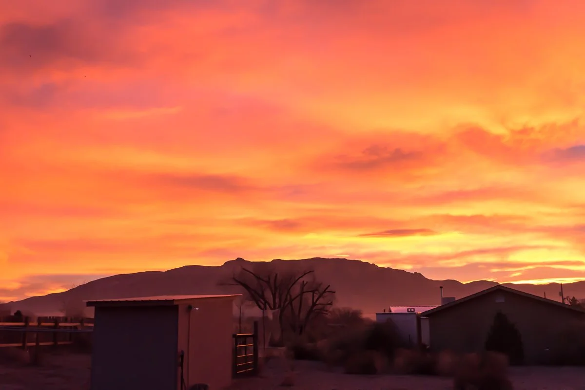 Corrales Bosque Gallery