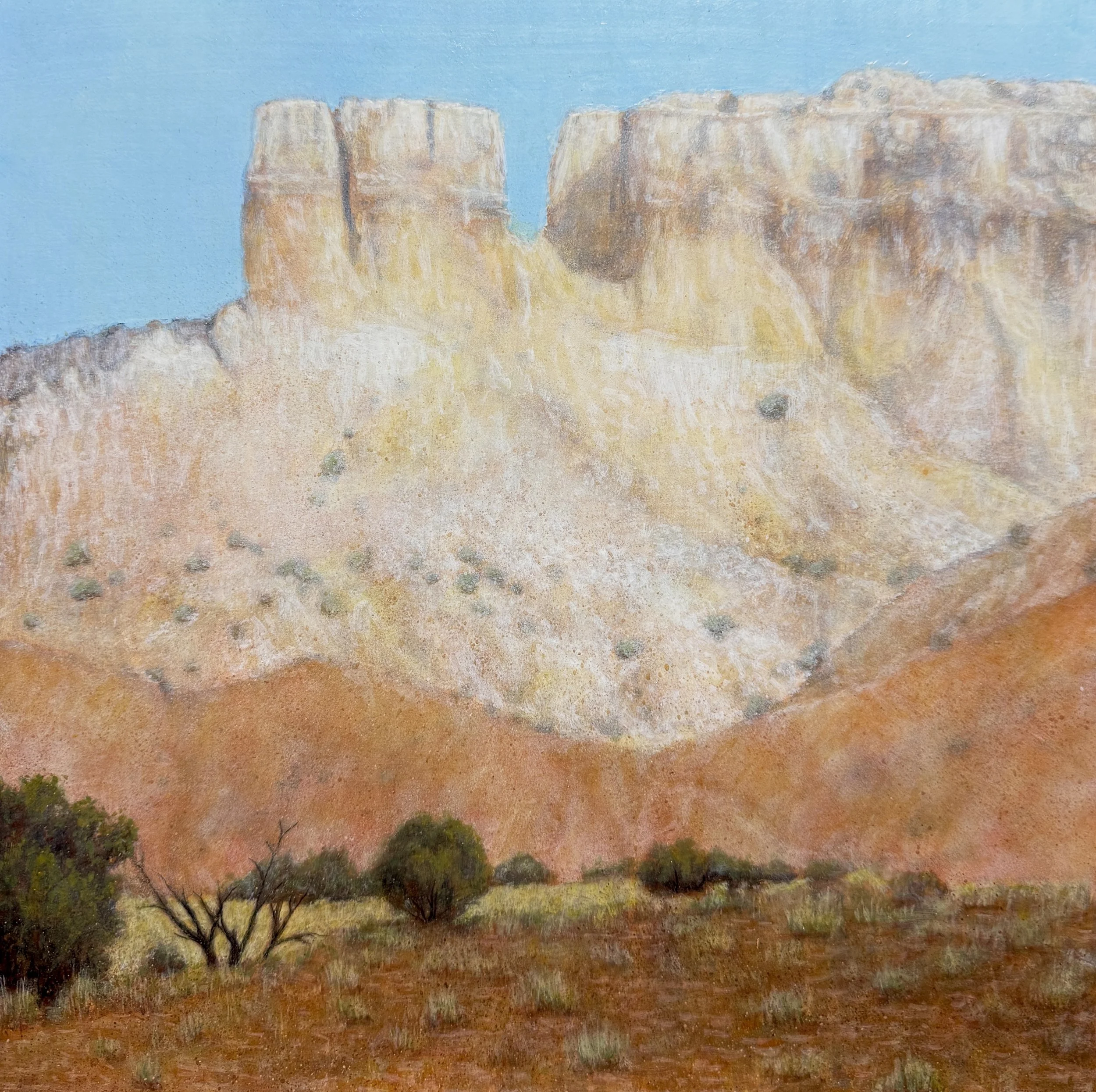 Corrales Bosque Gallery