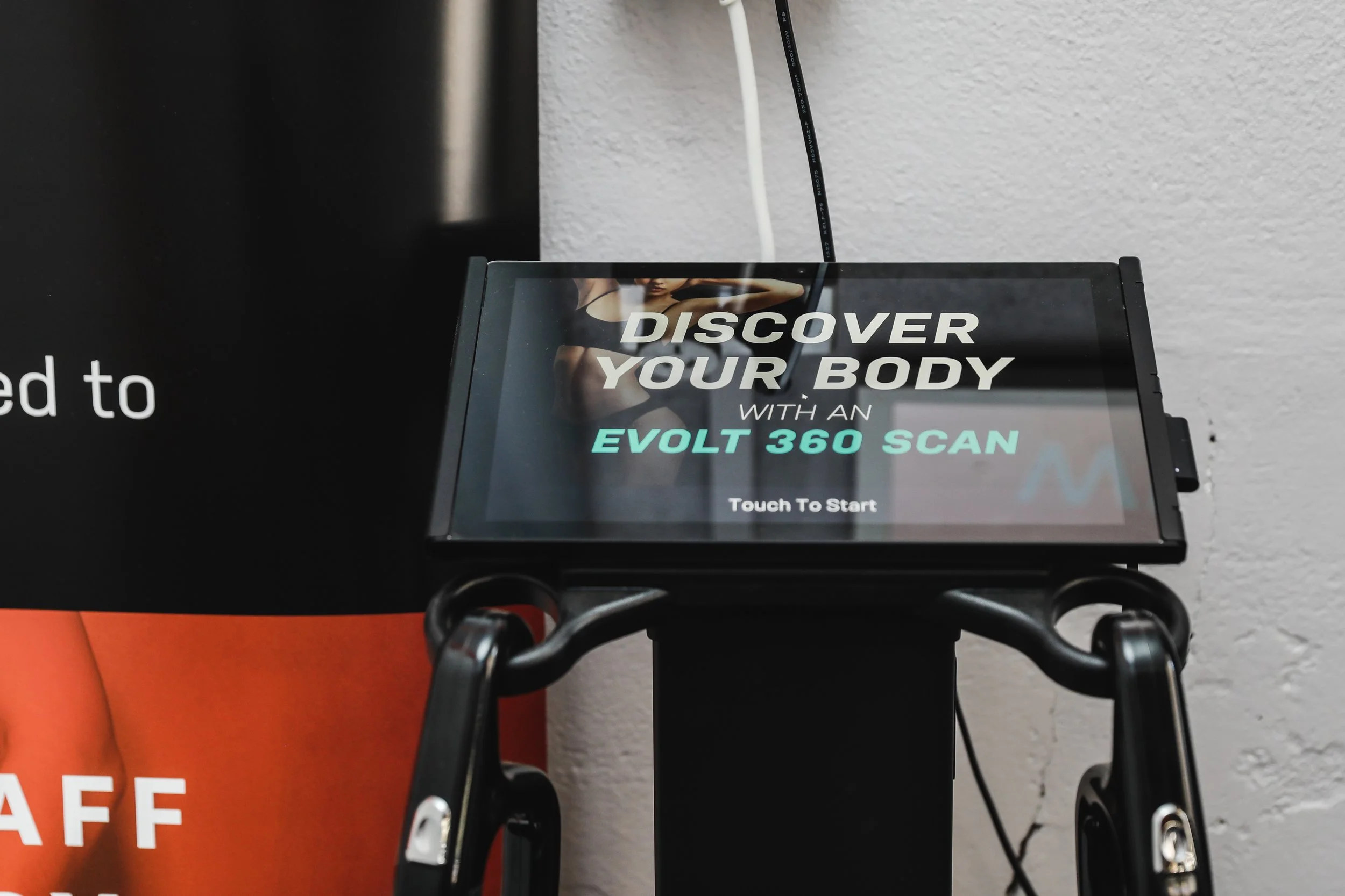 Body Scans — The Gym Tumut - Your Local Gym