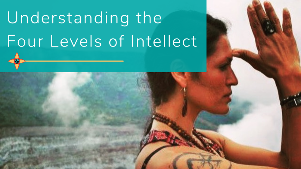 Understanding the Four Levels of the Intellect — Jai Bhakti Yoga