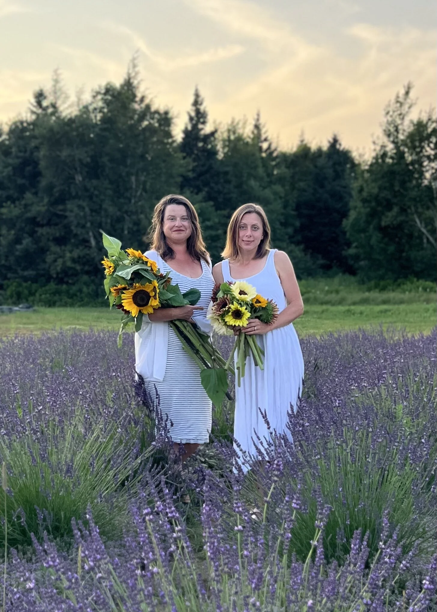 Store 1 — O'Sea Lavender Farm