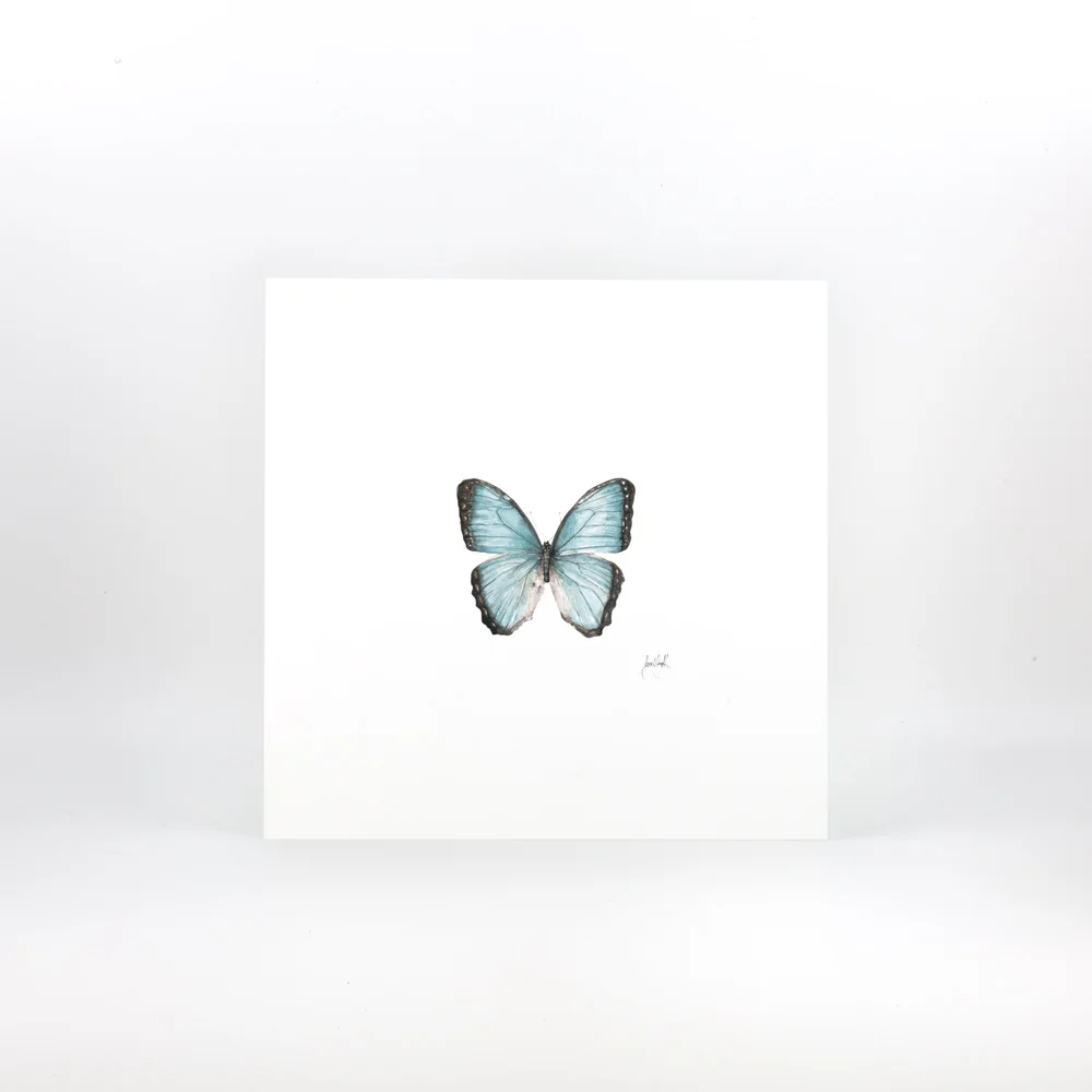 Blue Butterfly Frame