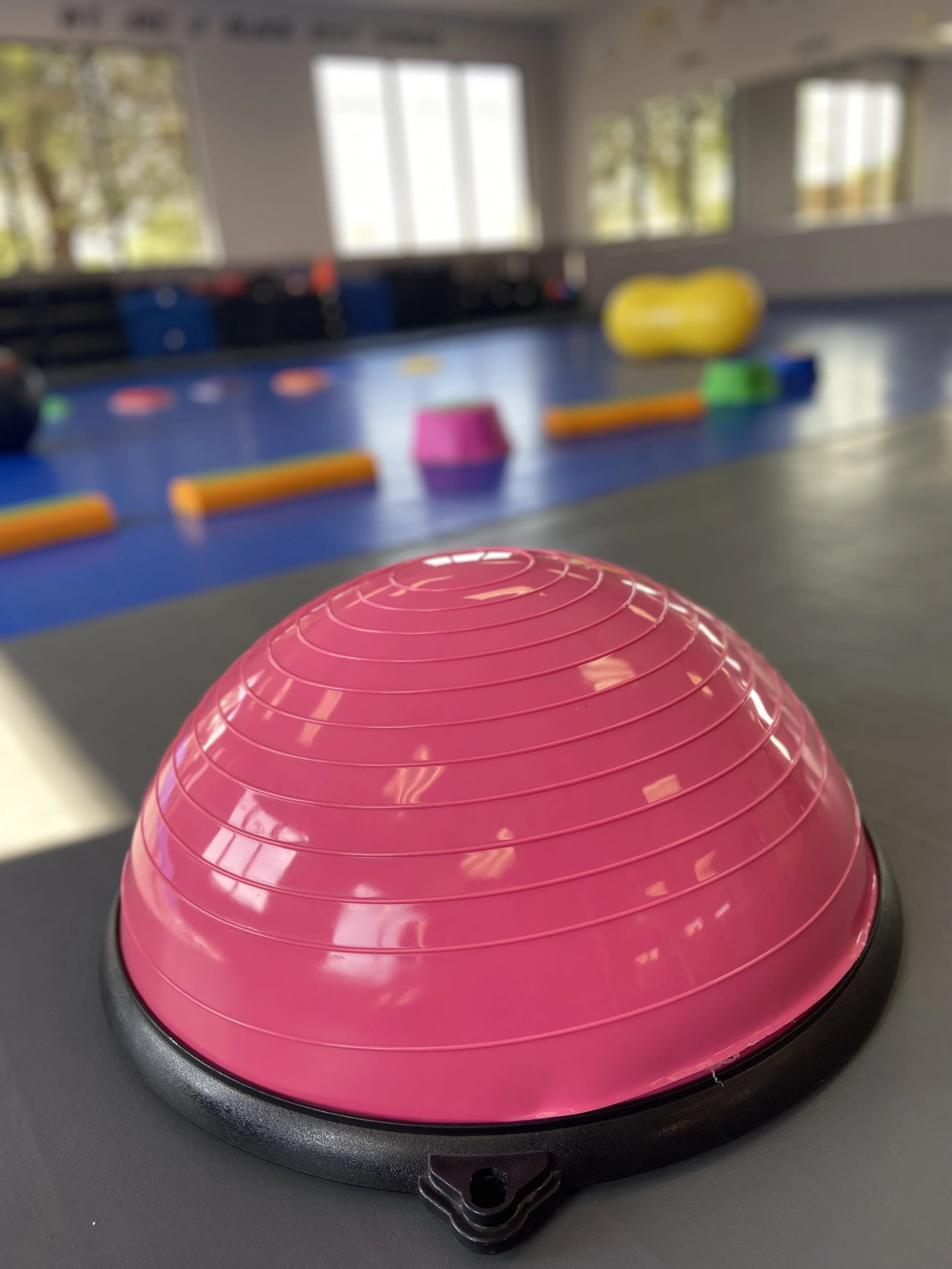 Fitness Based Occupational Therapy — Fun and Fit