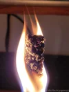 How to Burn Hag Torches (Mullein Torch) — Elderberry Sprout