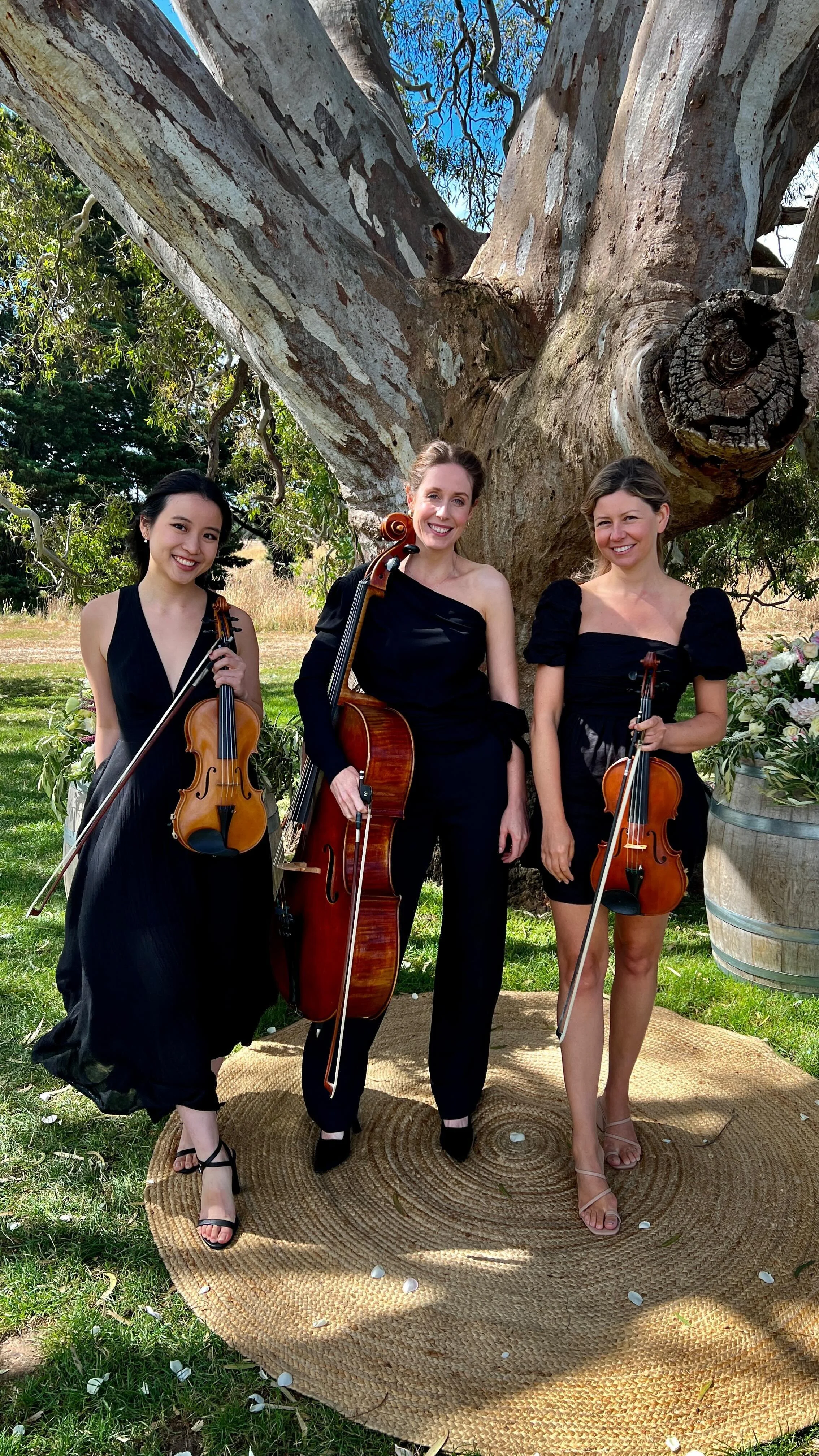 VIVID STRINGS | String Musicians in Australia