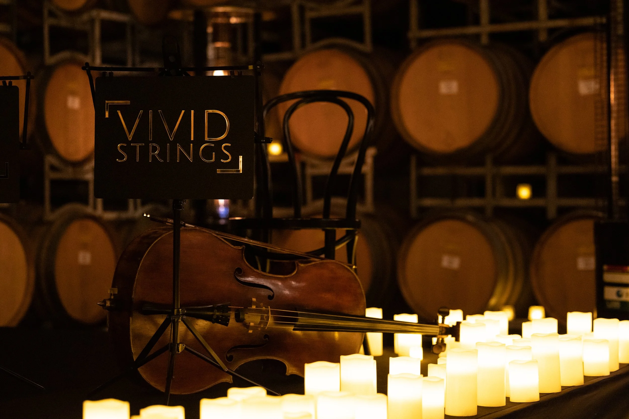 VIVID STRINGS | String Musicians in Australia