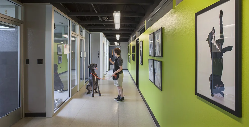 Sniff Dog Hotel | Veterinary Pets Architecture Portland Oregon —Scott ...