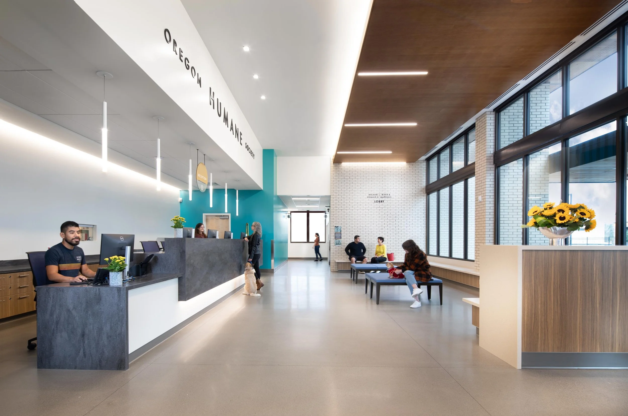 Veterinary Hospital Design —Scott Edwards Architecture