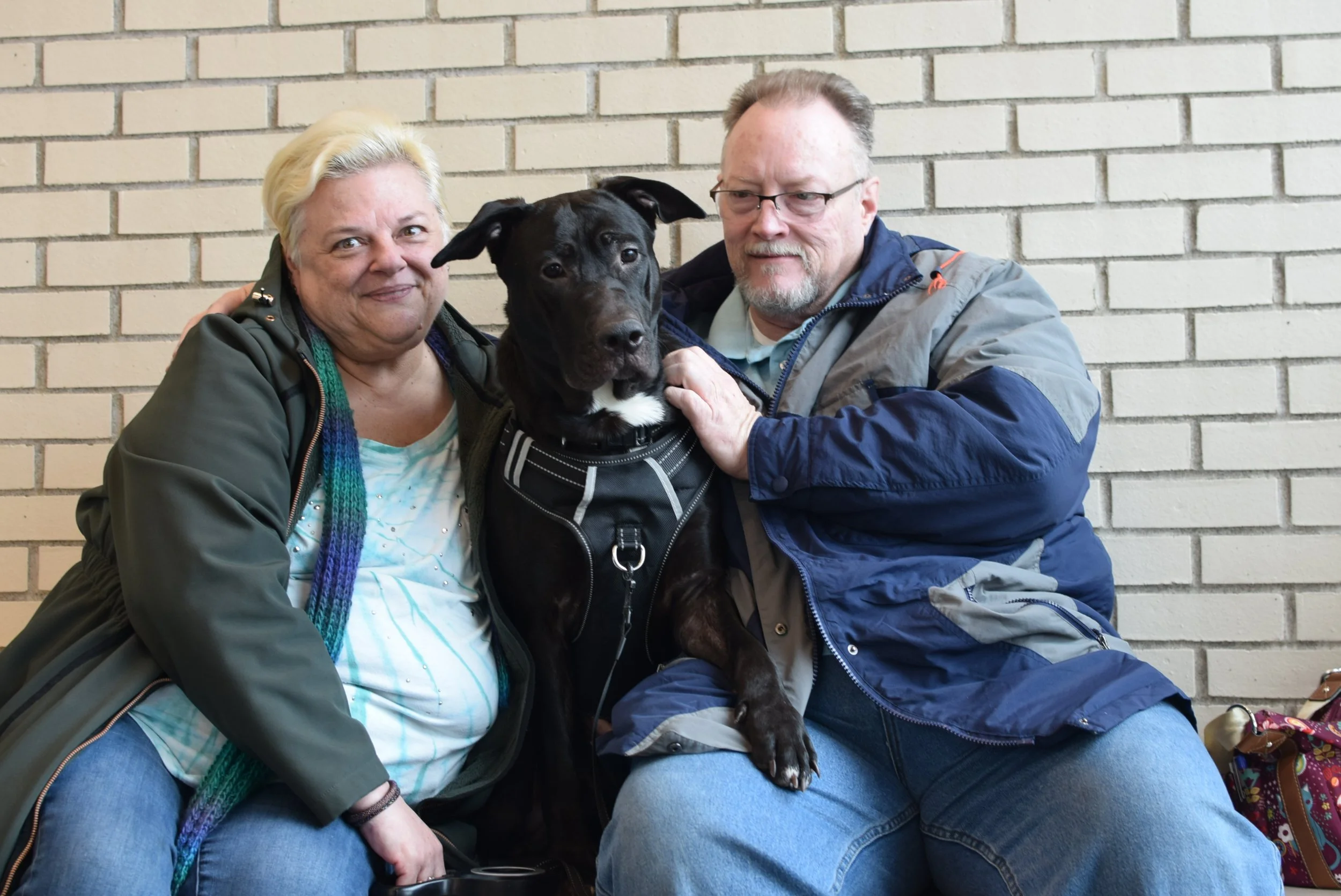 Veterinary Hospital Design —Scott Edwards Architecture