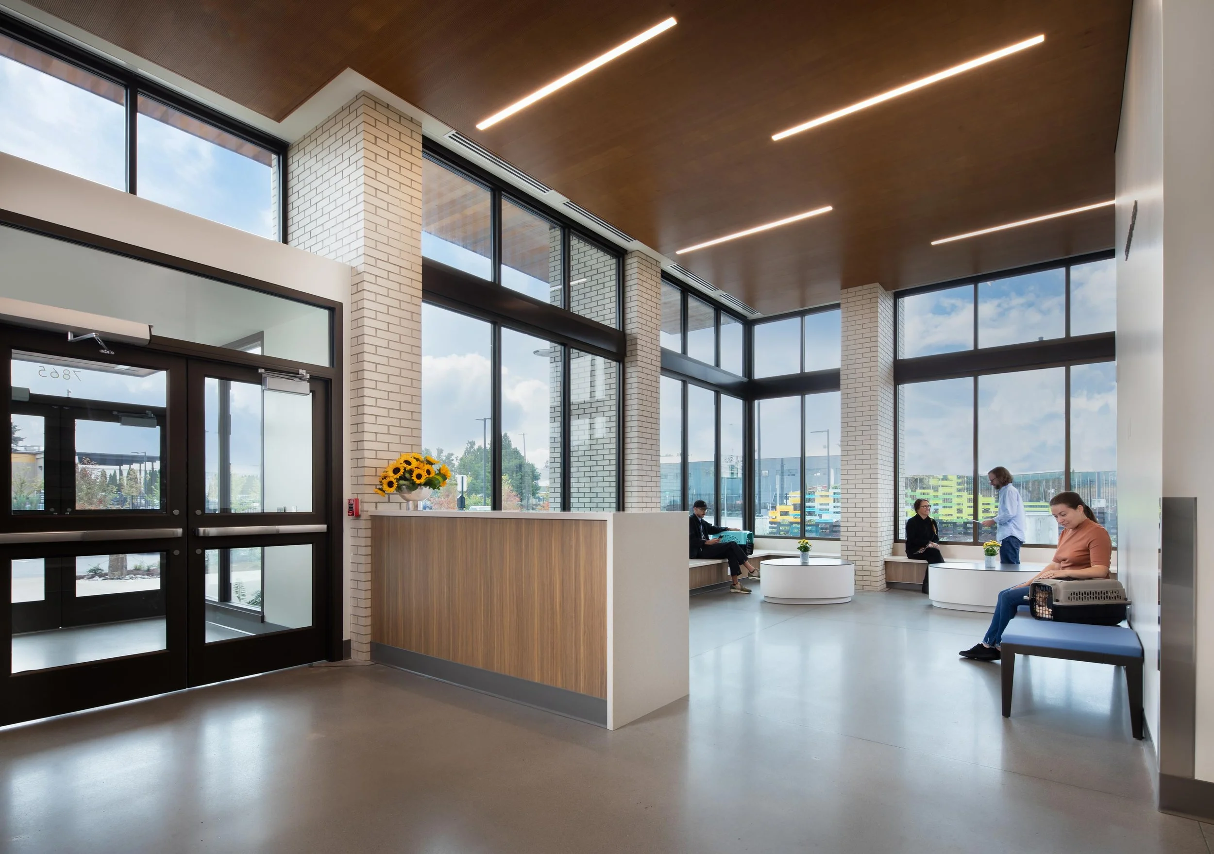 Veterinary Hospital Design —Scott Edwards Architecture