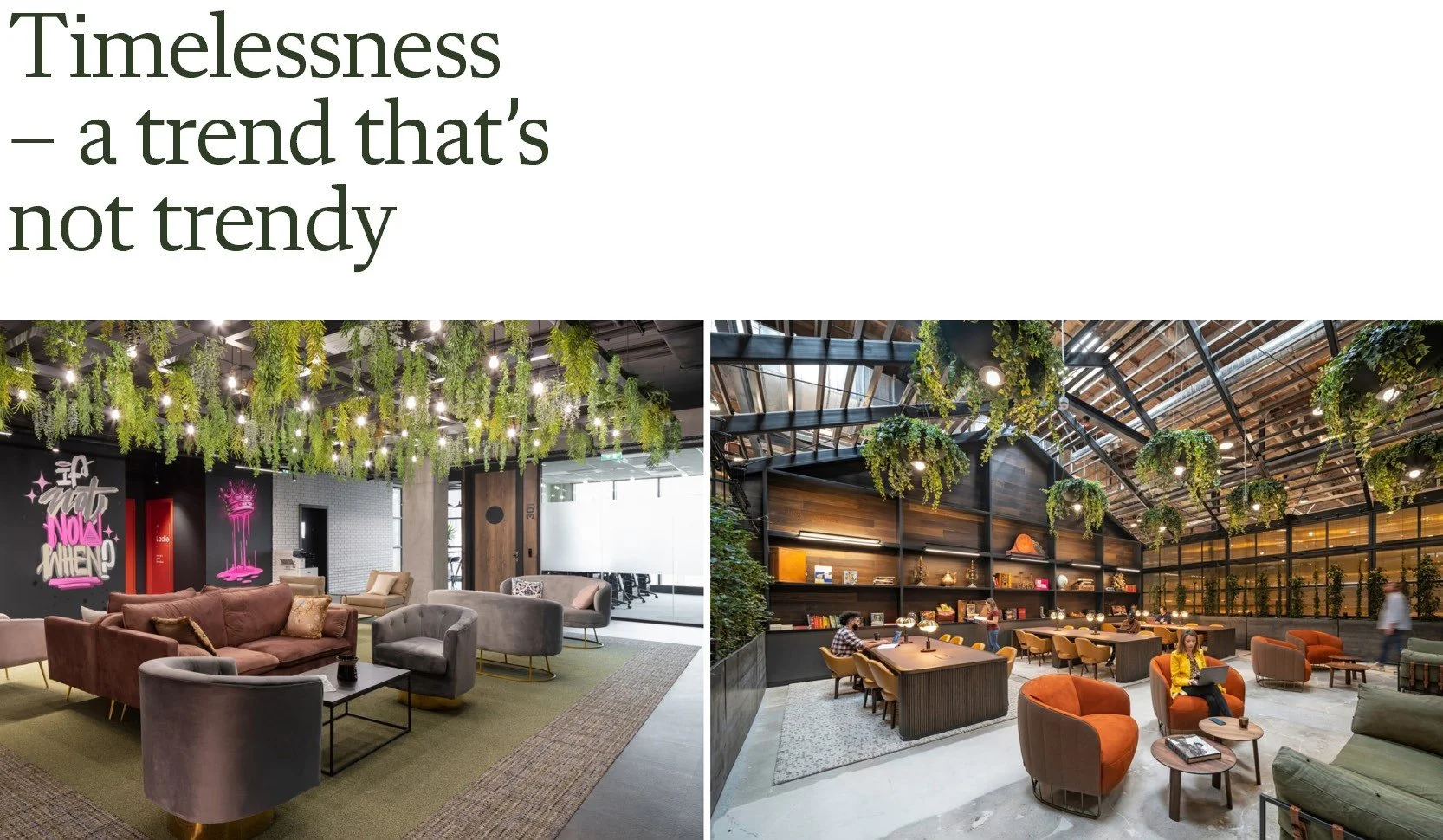 2023 Interior Design Trends We're Excited About —Scott Edwards Architecture