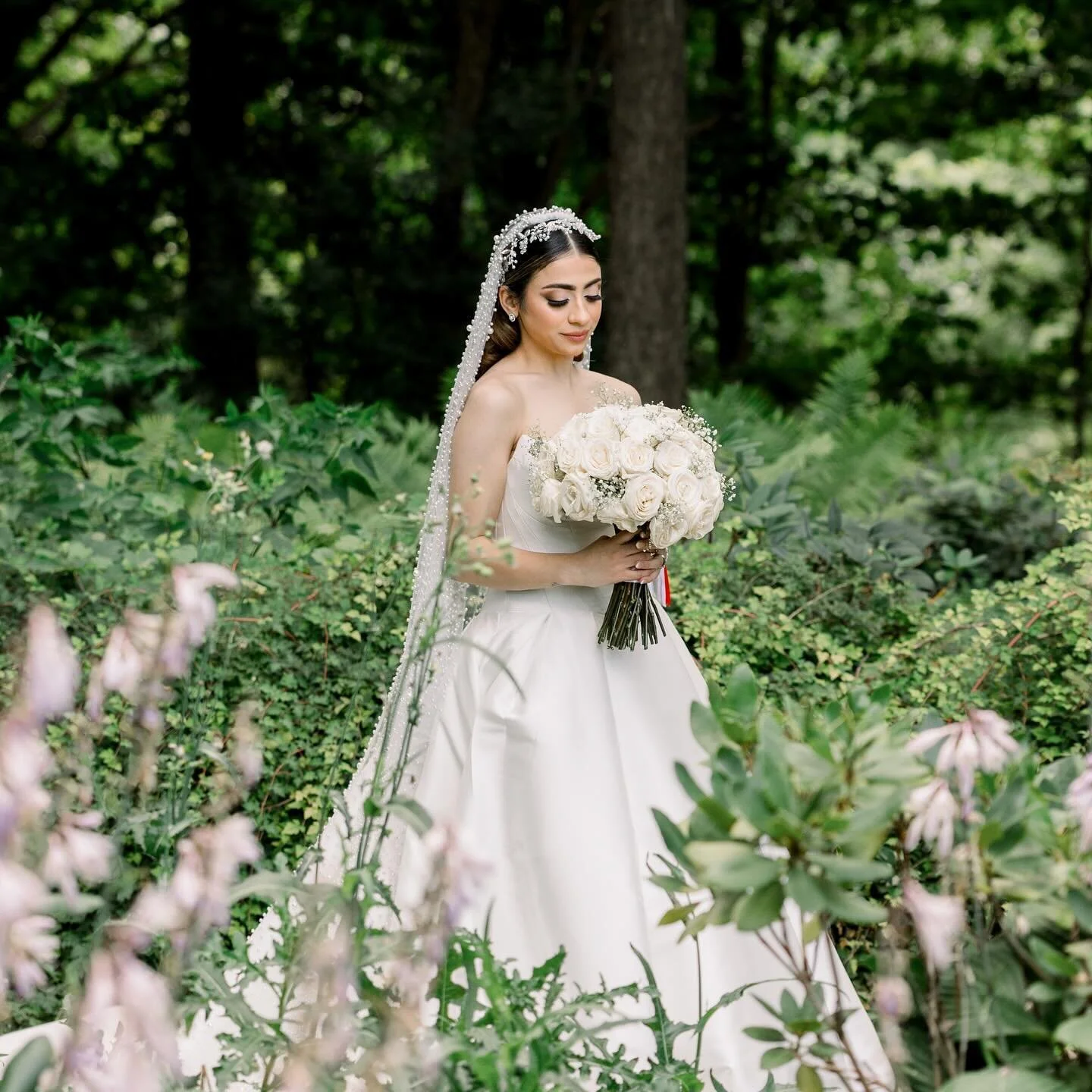 Timeless Tree Weddings