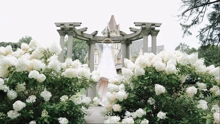 Timeless Tree Weddings