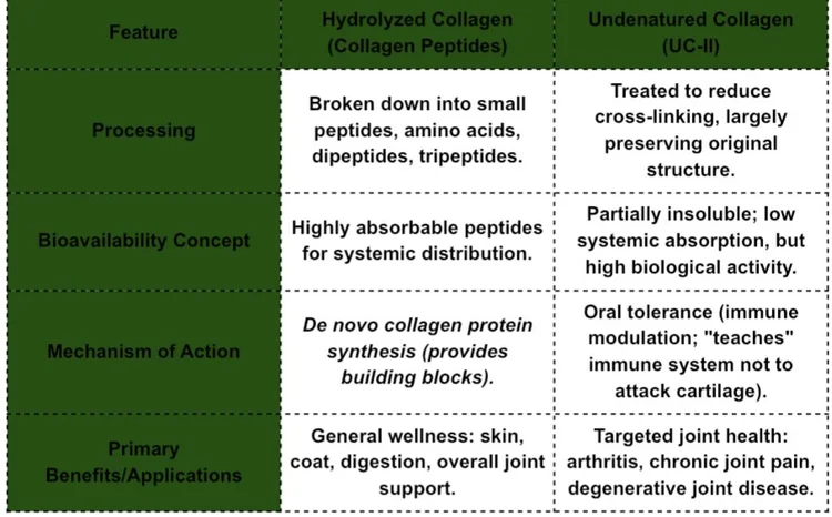 Collagen for Dogs: Benefits, Types, Sources & How to Choose the Best ...