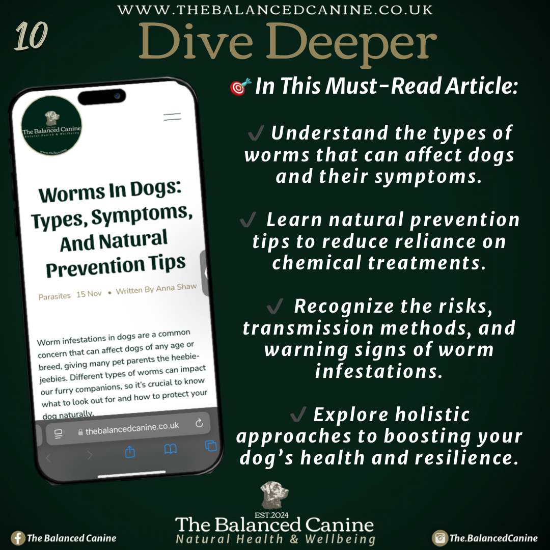 Comprehensive Guide to Worms in Dogs: Symptoms, Prevention, and Natural ...