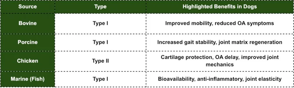 Collagen for Dogs: Benefits, Types, Sources & How to Choose the Best ...