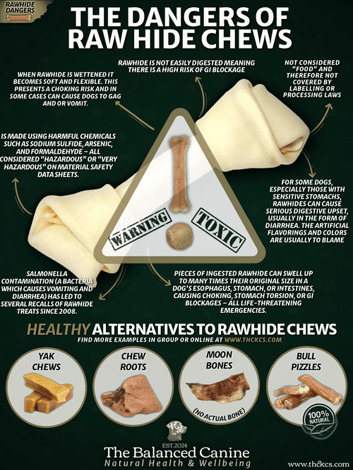 Is Rawhide Bad for Dogs? A Closer Look at the Risks and Safer ...
