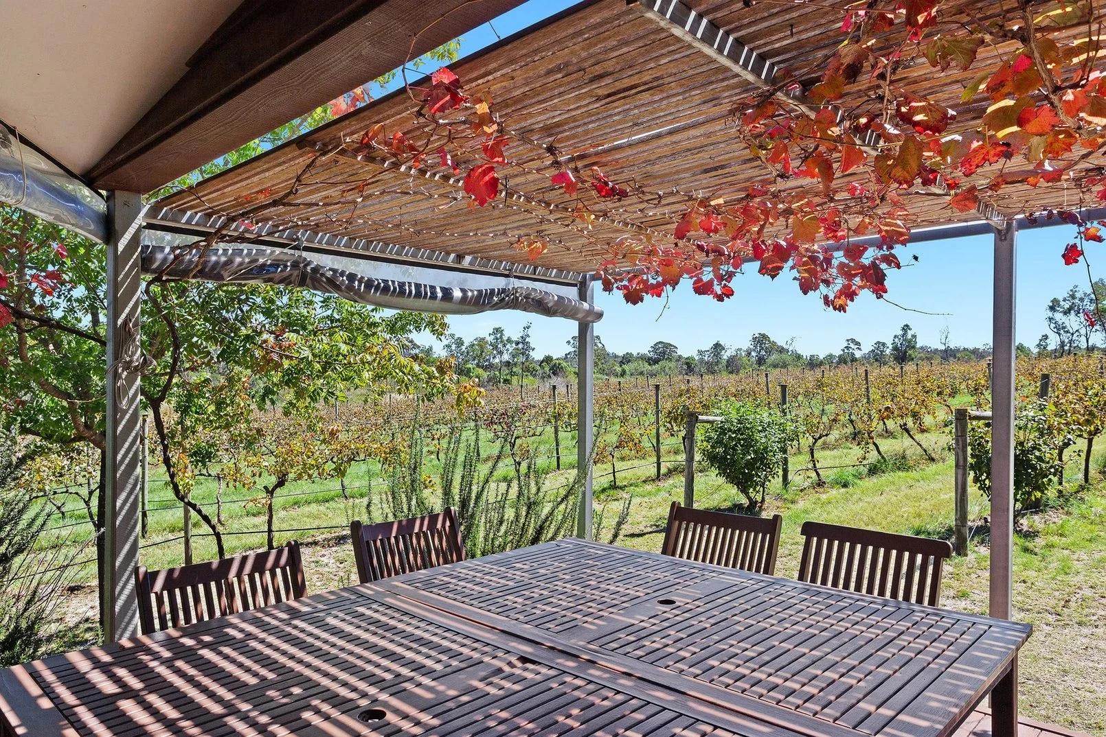 Ravenscroft Vineyard