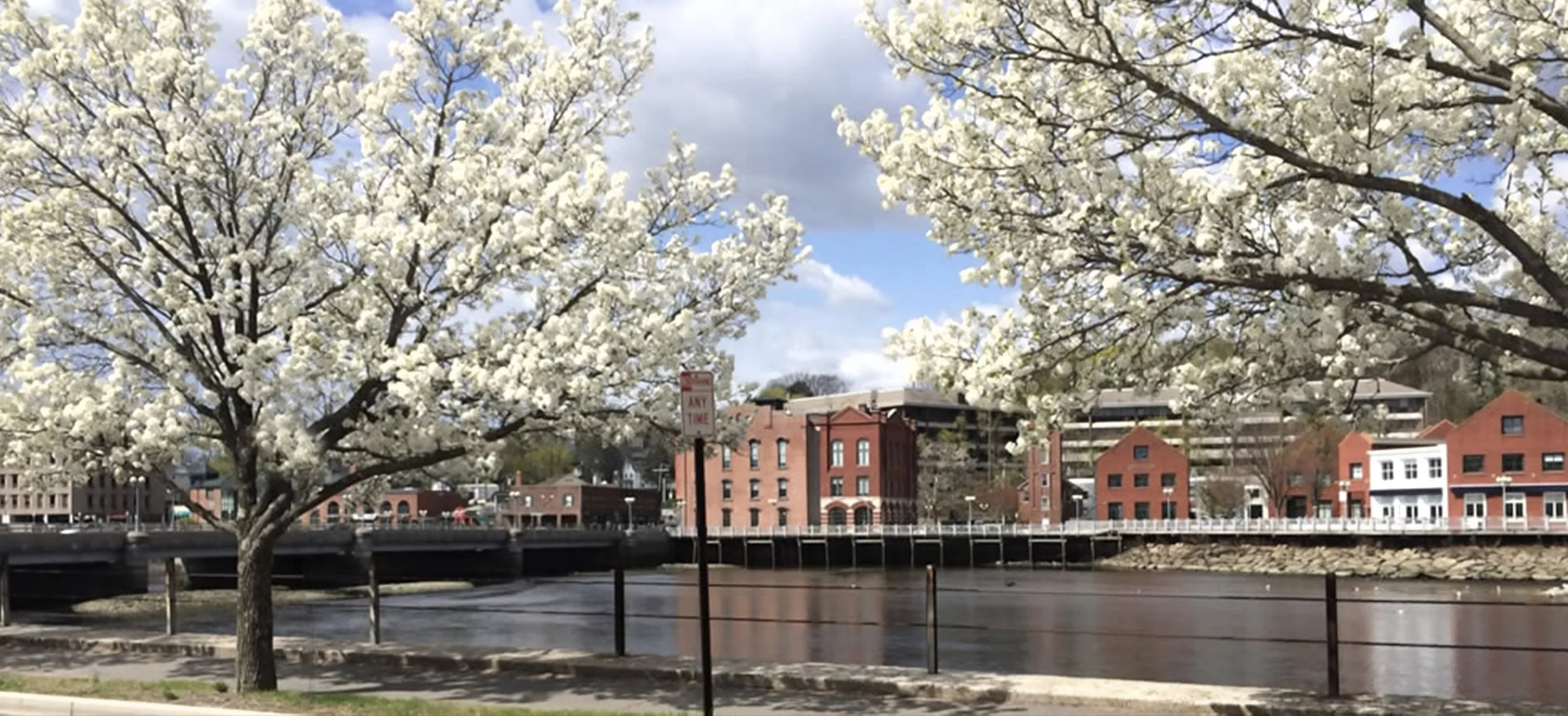 Discover Westport