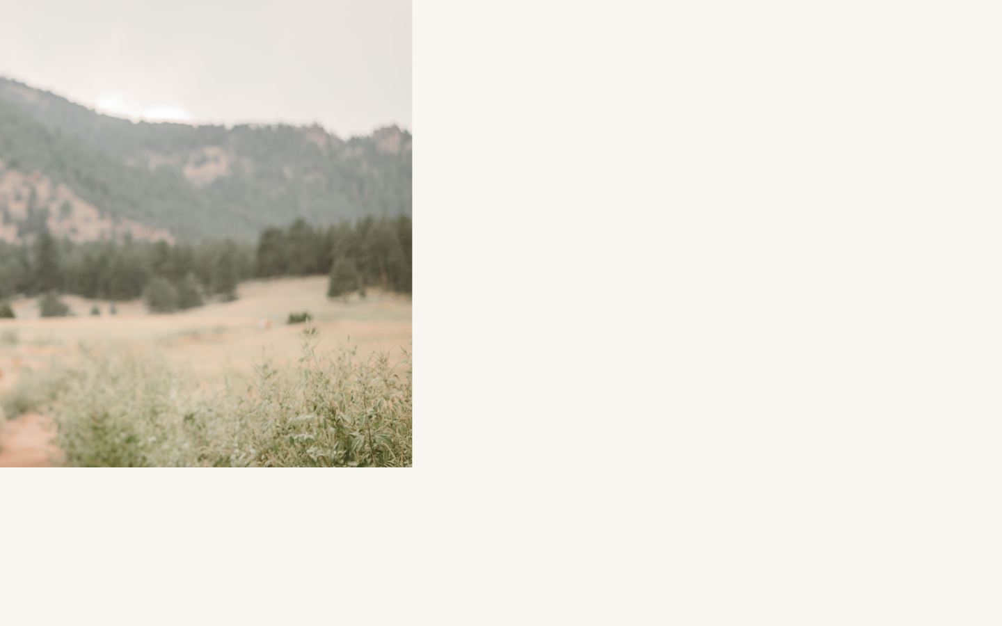 About — Laurel Emory