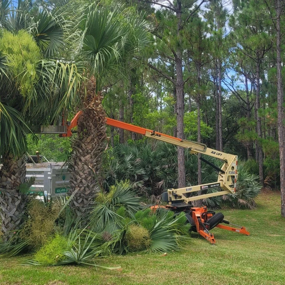Complete Tree Care