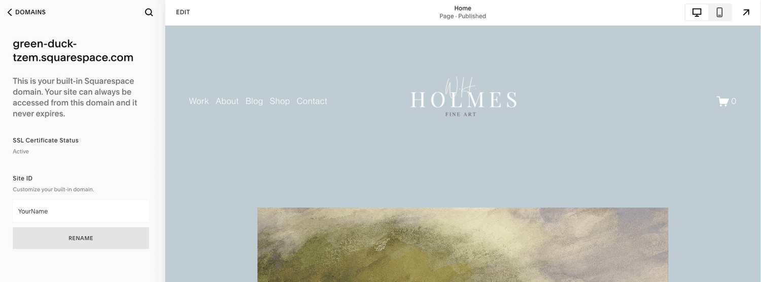 Three Simple Ways to Customize the Built-in Domain in Squarespace — Dr. Elizabeth MacLean