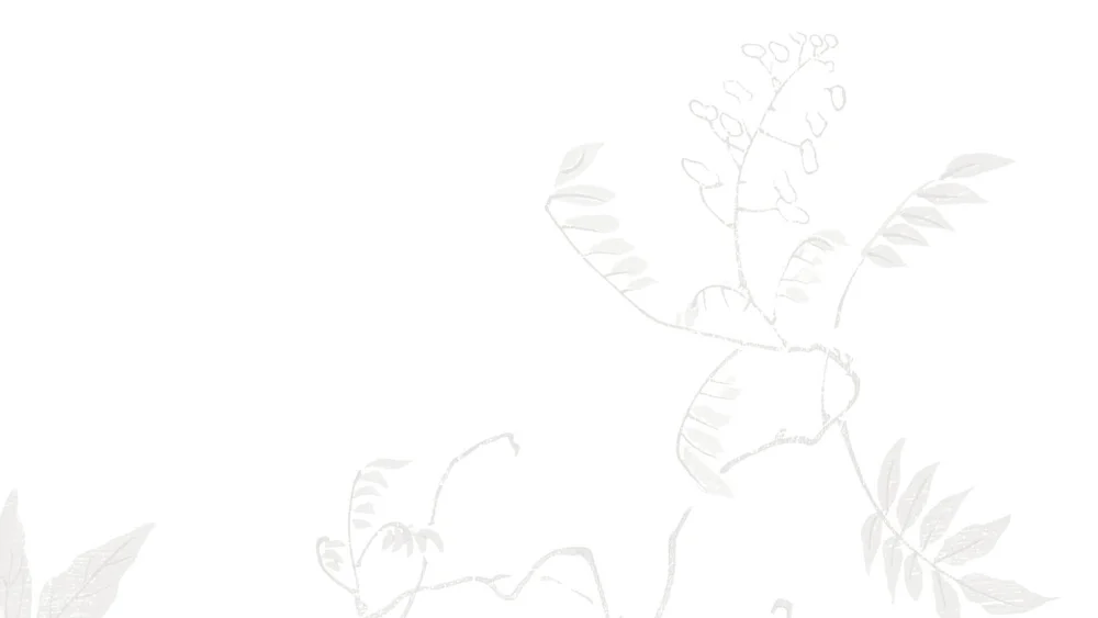 Dr. Elizabeth MacLean