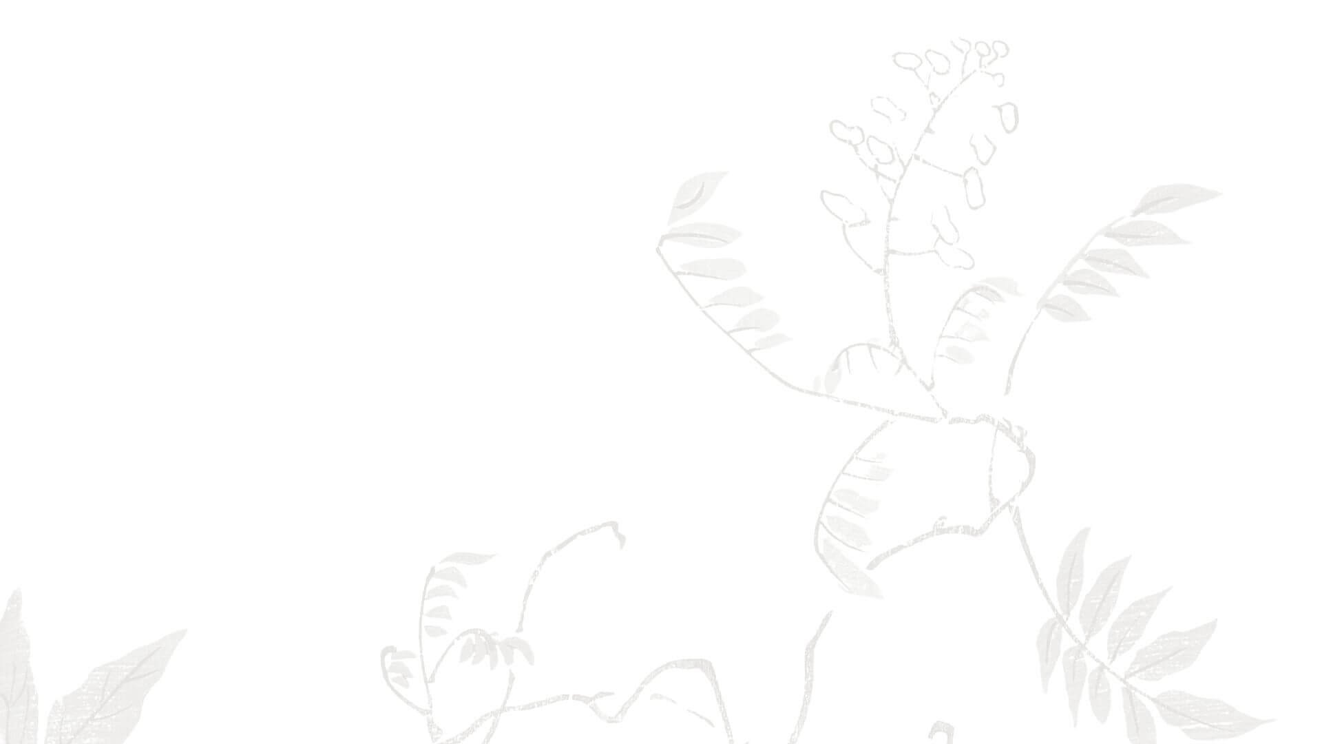 Dr. Elizabeth MacLean