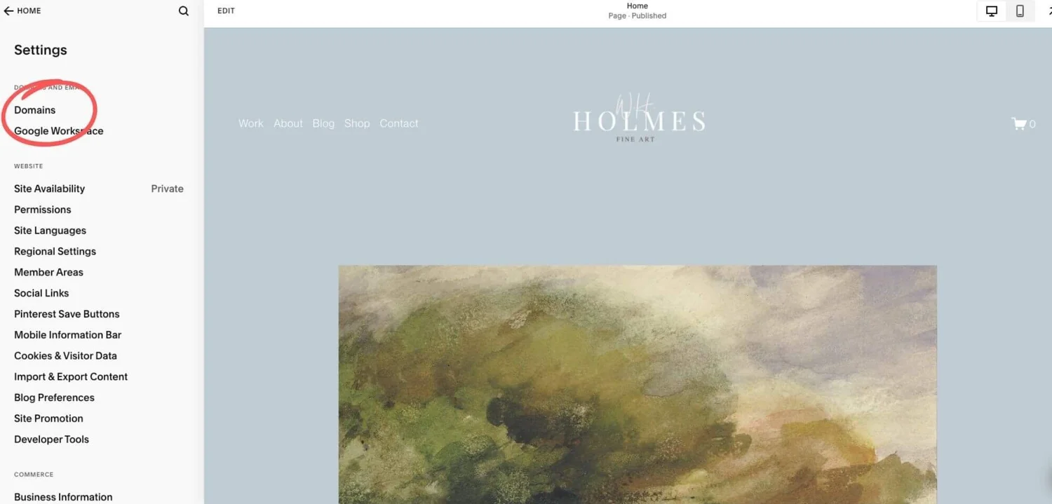 Three Simple Ways to Customize the Built-in Domain in Squarespace — Dr ...