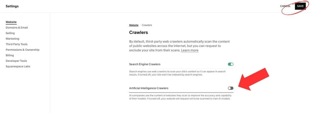Safeguarding Your Artwork: How to Protect Website Content from AI ...