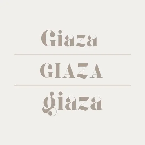 A Basic Guide to Choosing Fonts for a Cohesive Visual Identity — Dr ...