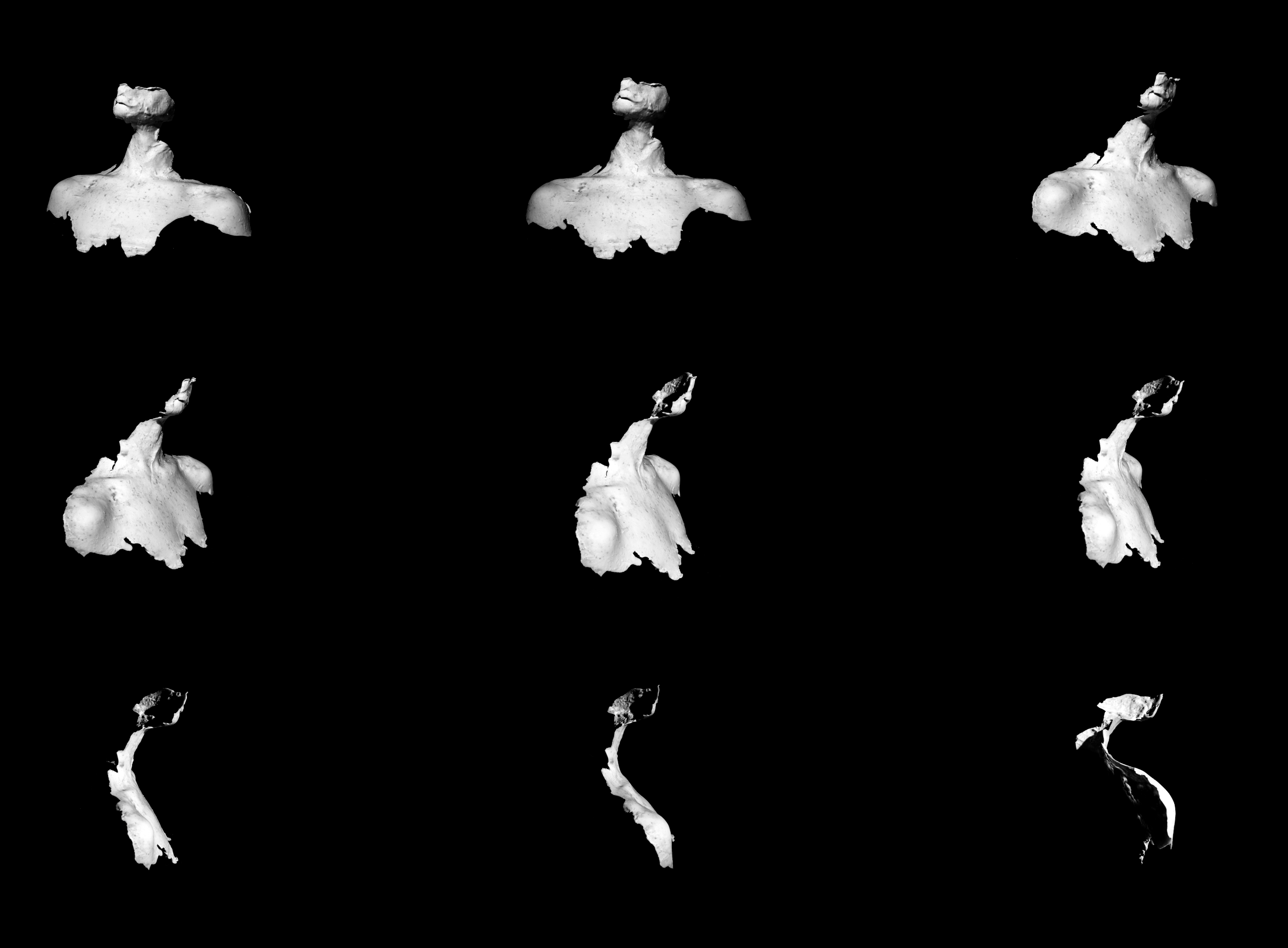 Fathom — Loreal Prystaj