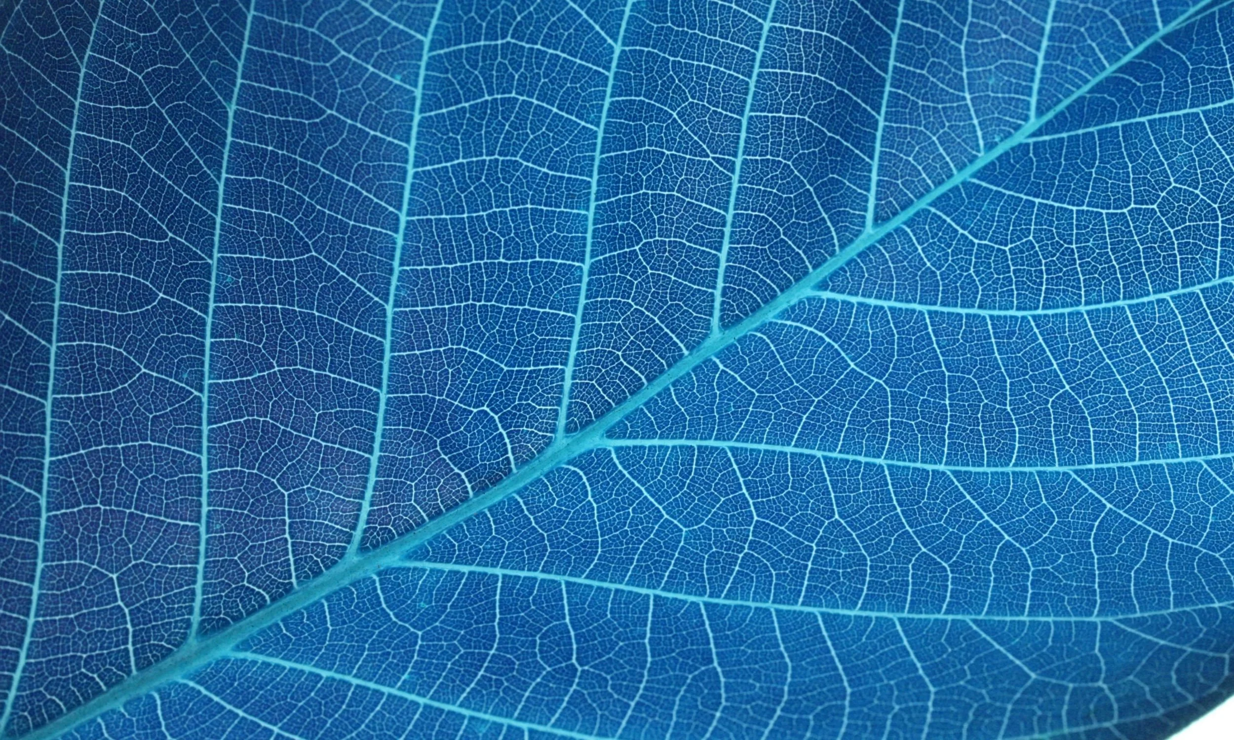 blog-exponential-transformation