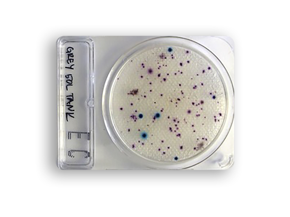 mWater test kits — mWater