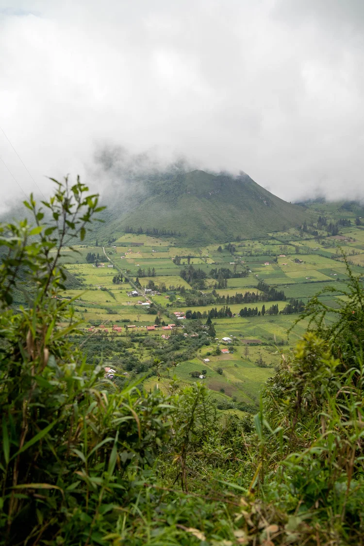 Ecuador Summer Internship — Living & Learning International