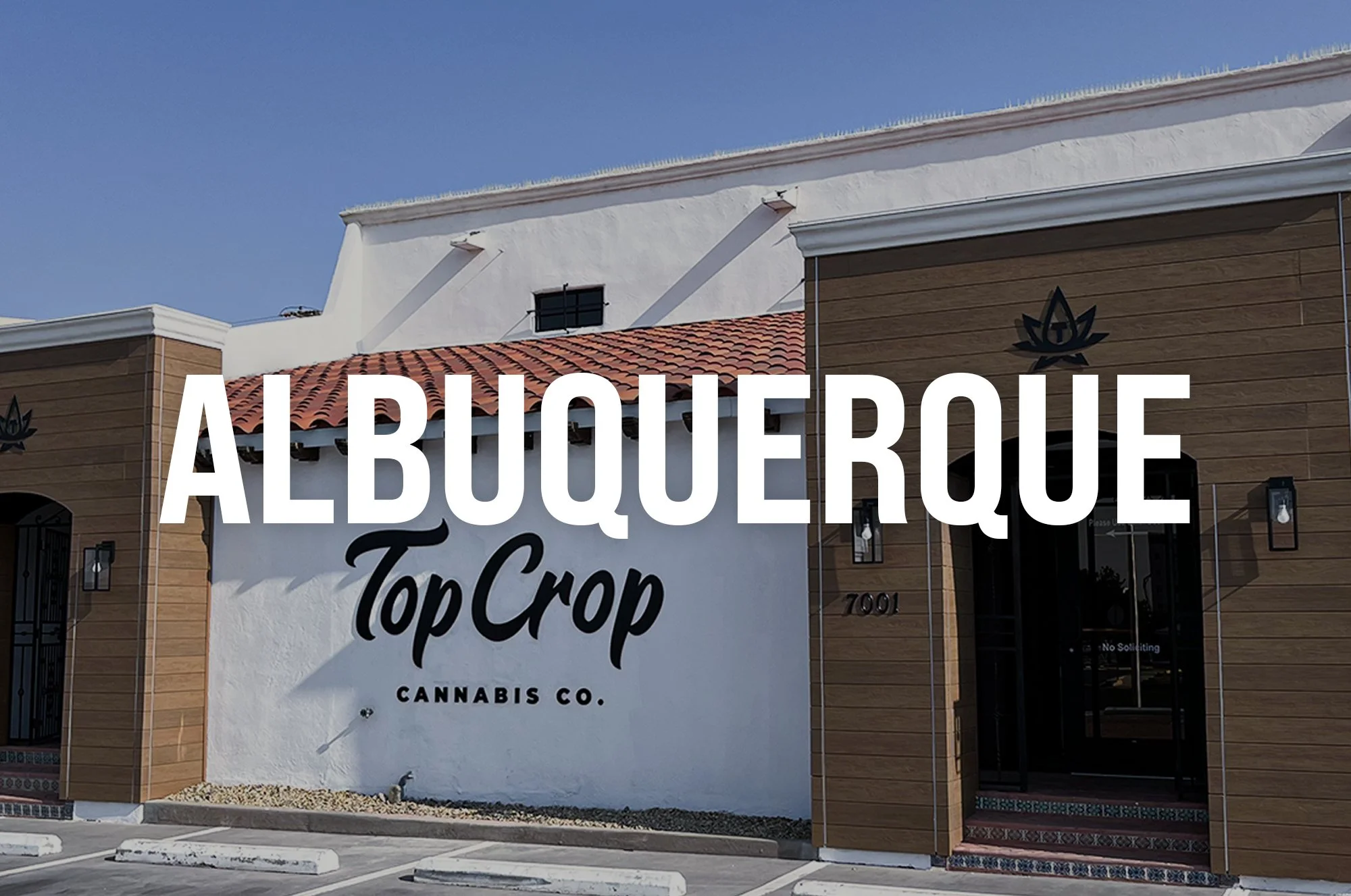 Top Crop NM