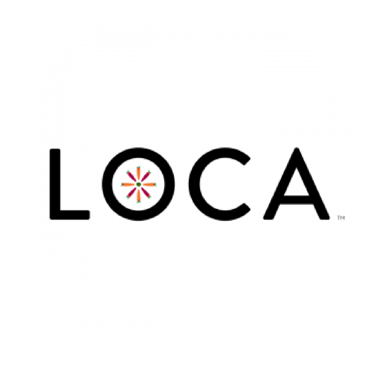 Portfolio — Clear Current Capital