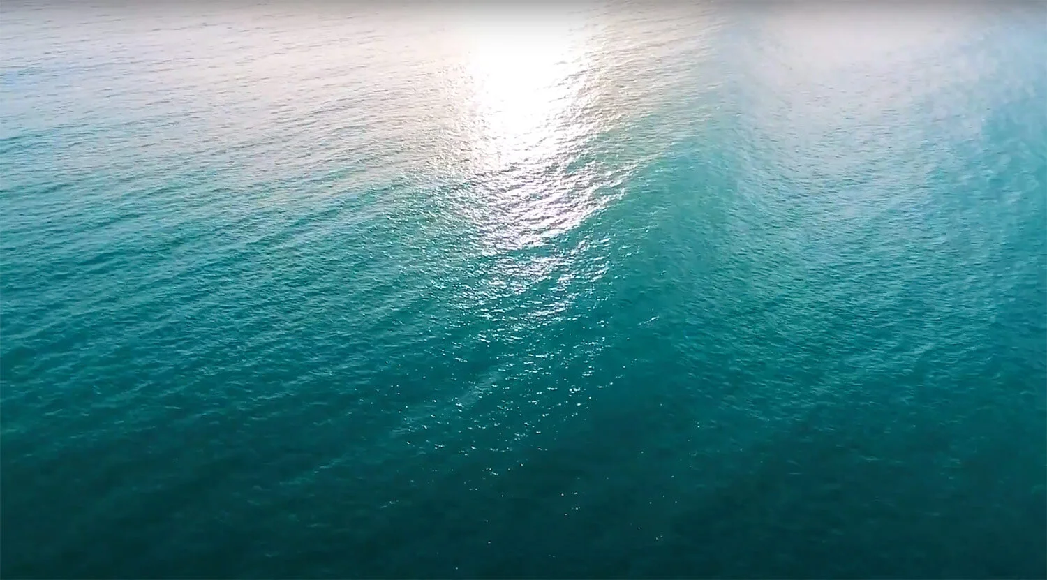 Clear Current Capital