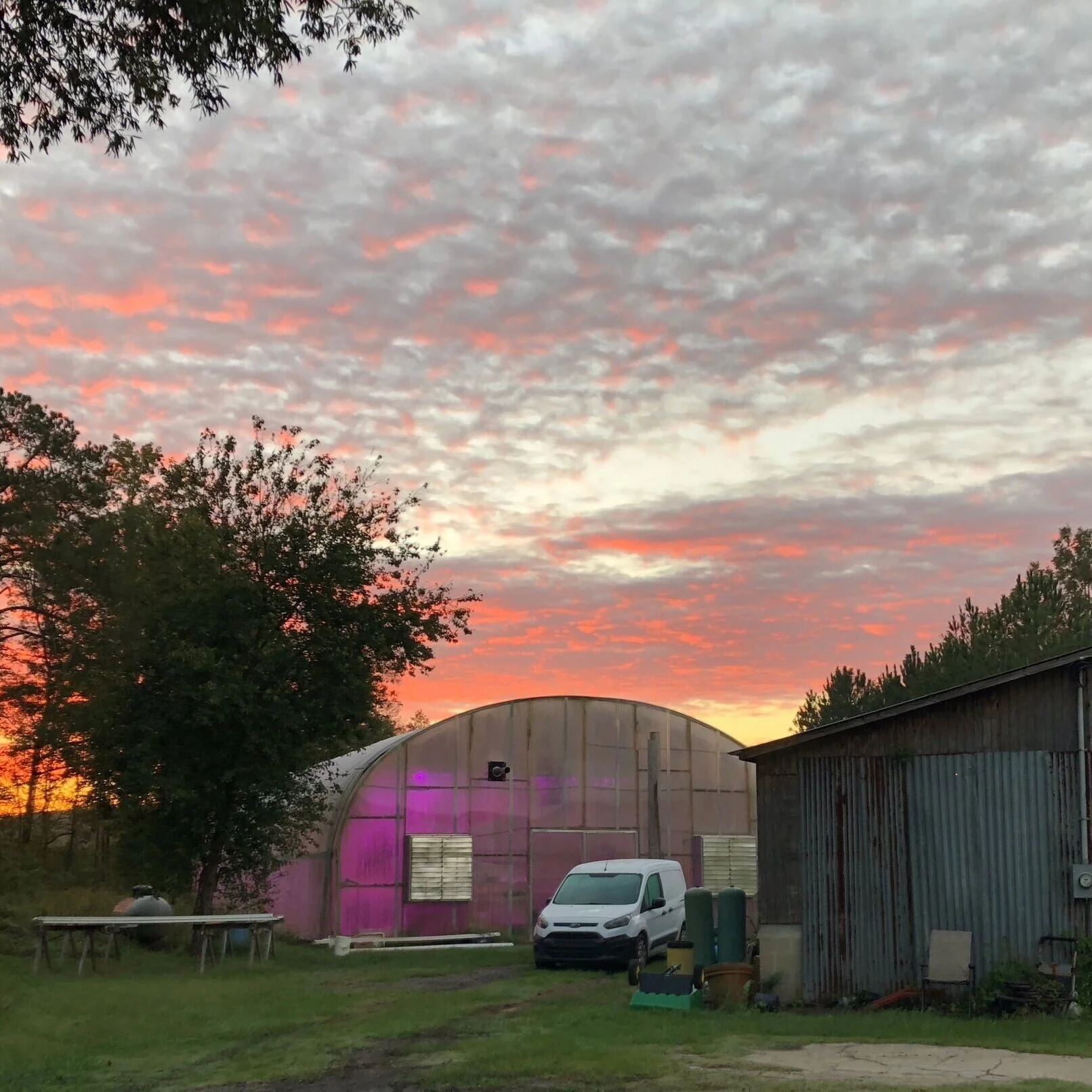 Freshly Grown Farms | High Quality Hydroponic Produce | Sustainable & Clean