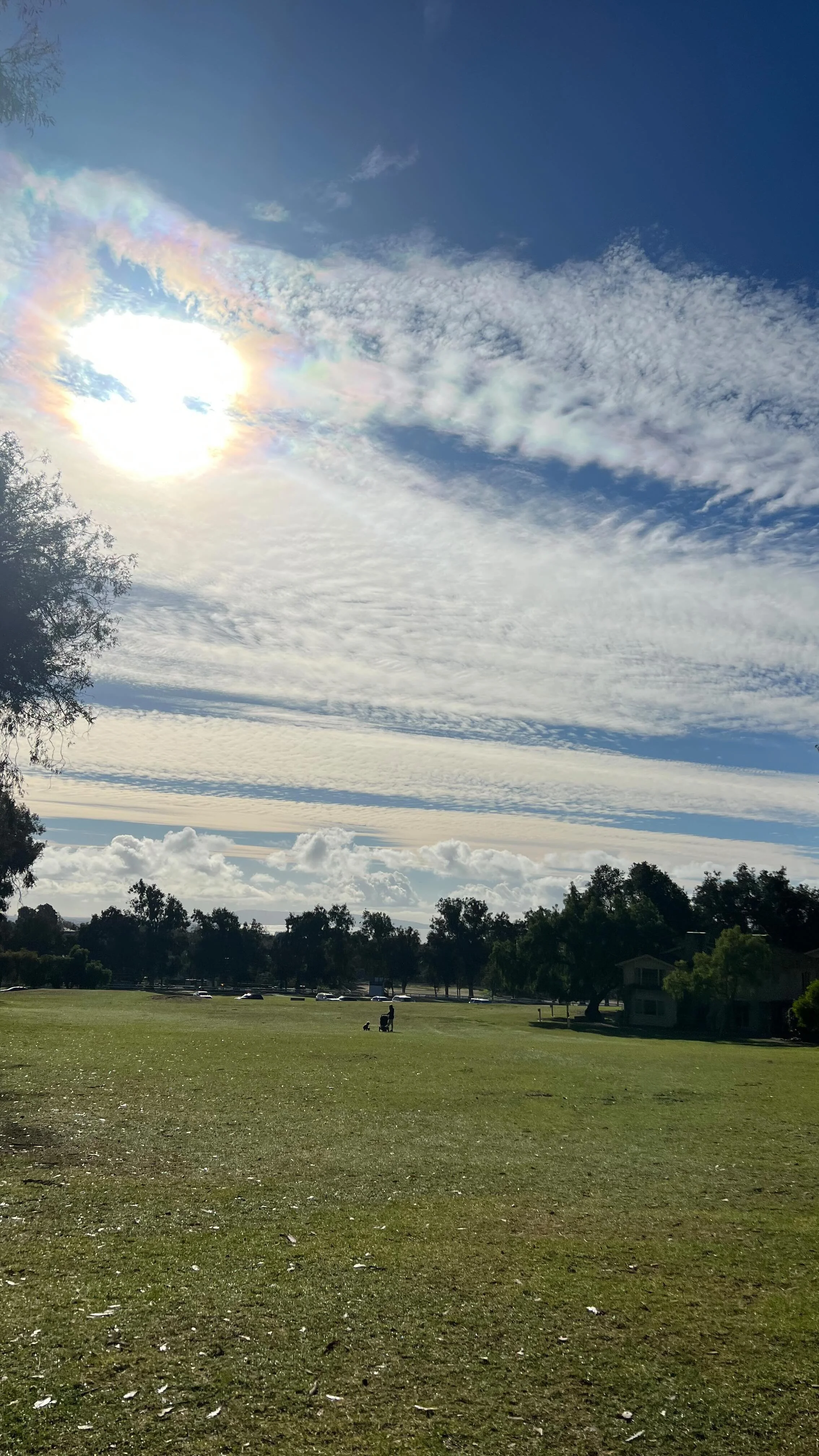 Sacred Woman Collective