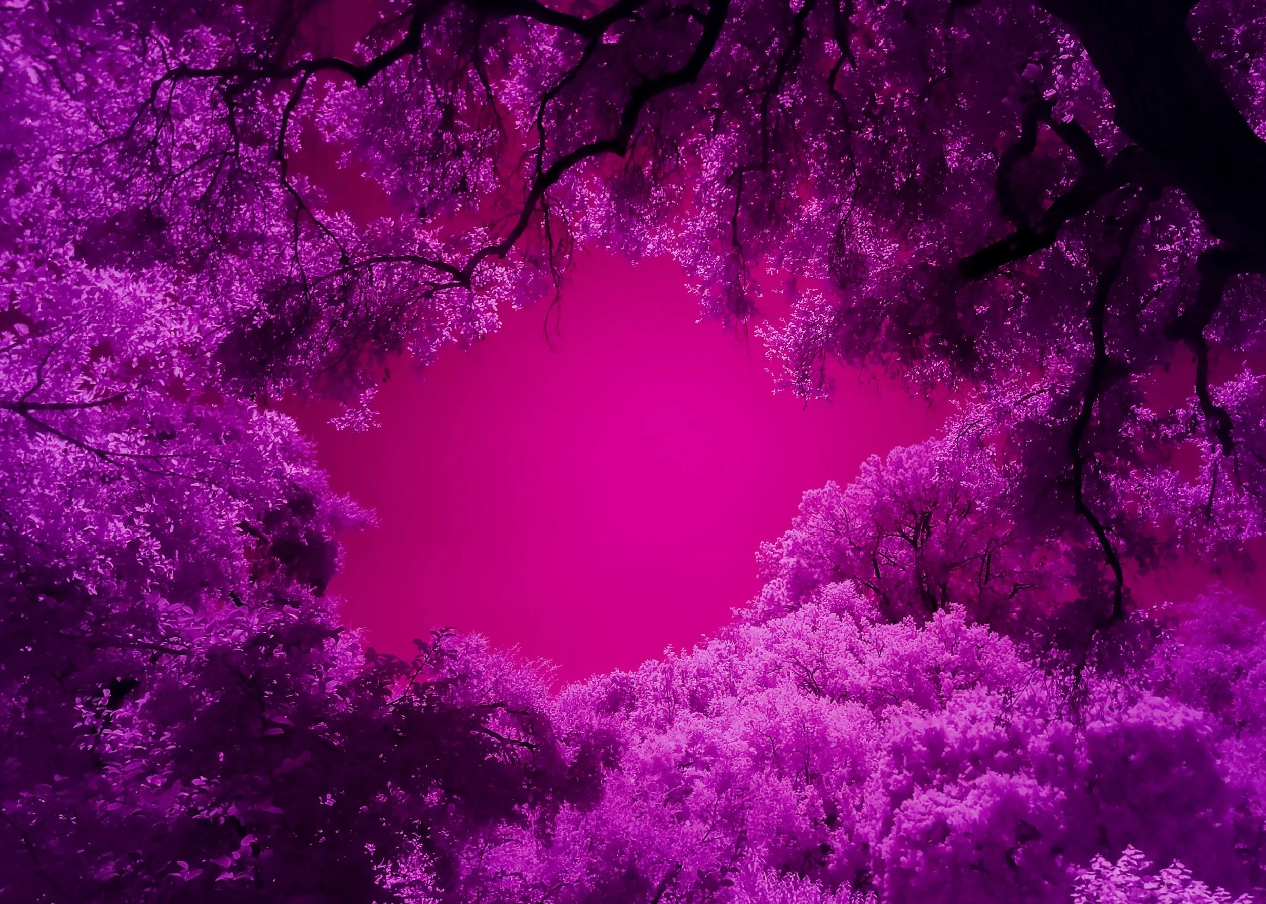 Manny Robertson - Visual Art & Production