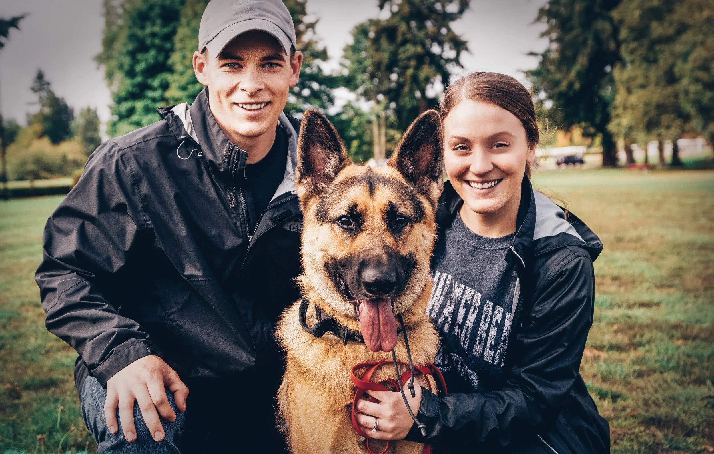 Amani K9 Training and Behavioral Rehabilitation