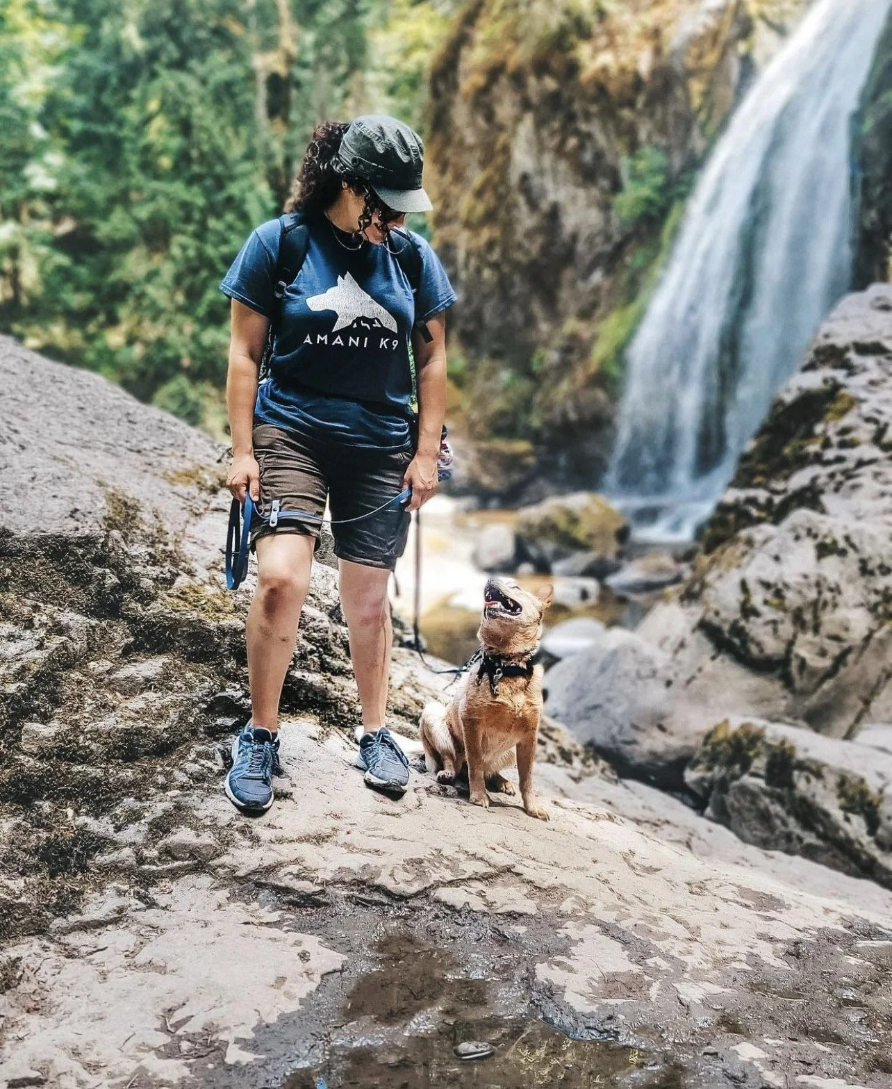 Amani K9 Training and Behavioral Rehabilitation