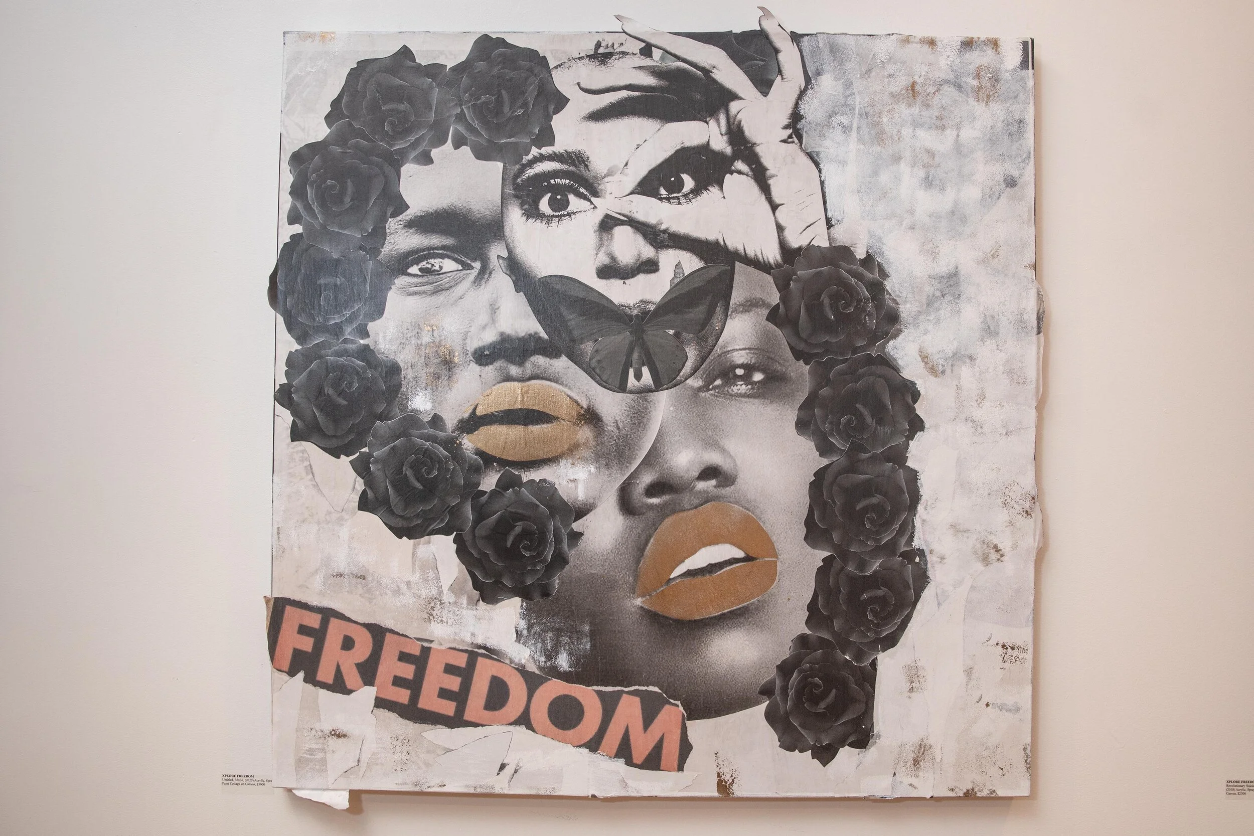 Xplore Freedom Personal Brand — Stephan Hudson Photography