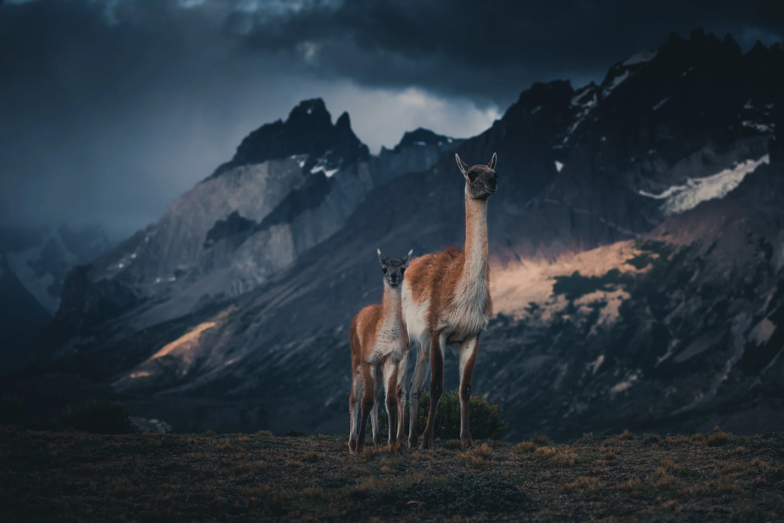 Konsta Punkka Photography